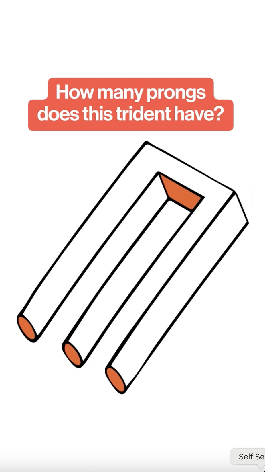 Here are some of the most common optical illusions explained.