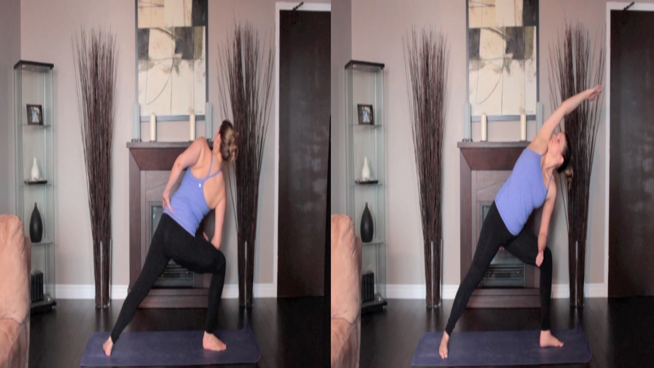 Yoga Asanas Series Episode 47 - Standing Poses (Both Sided Extended ...