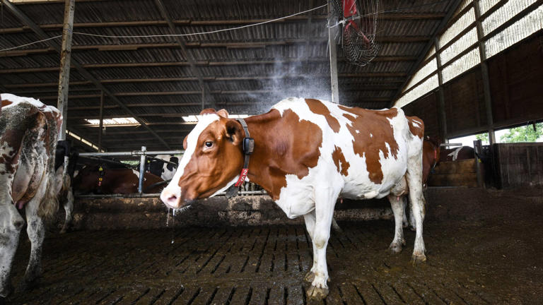 Will Darren Waller’s comeback be successful?