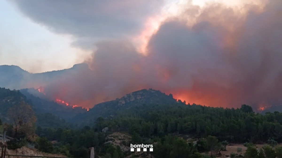 Incendio forestal en Tarragona, en directo: hectáreas quemadas ...