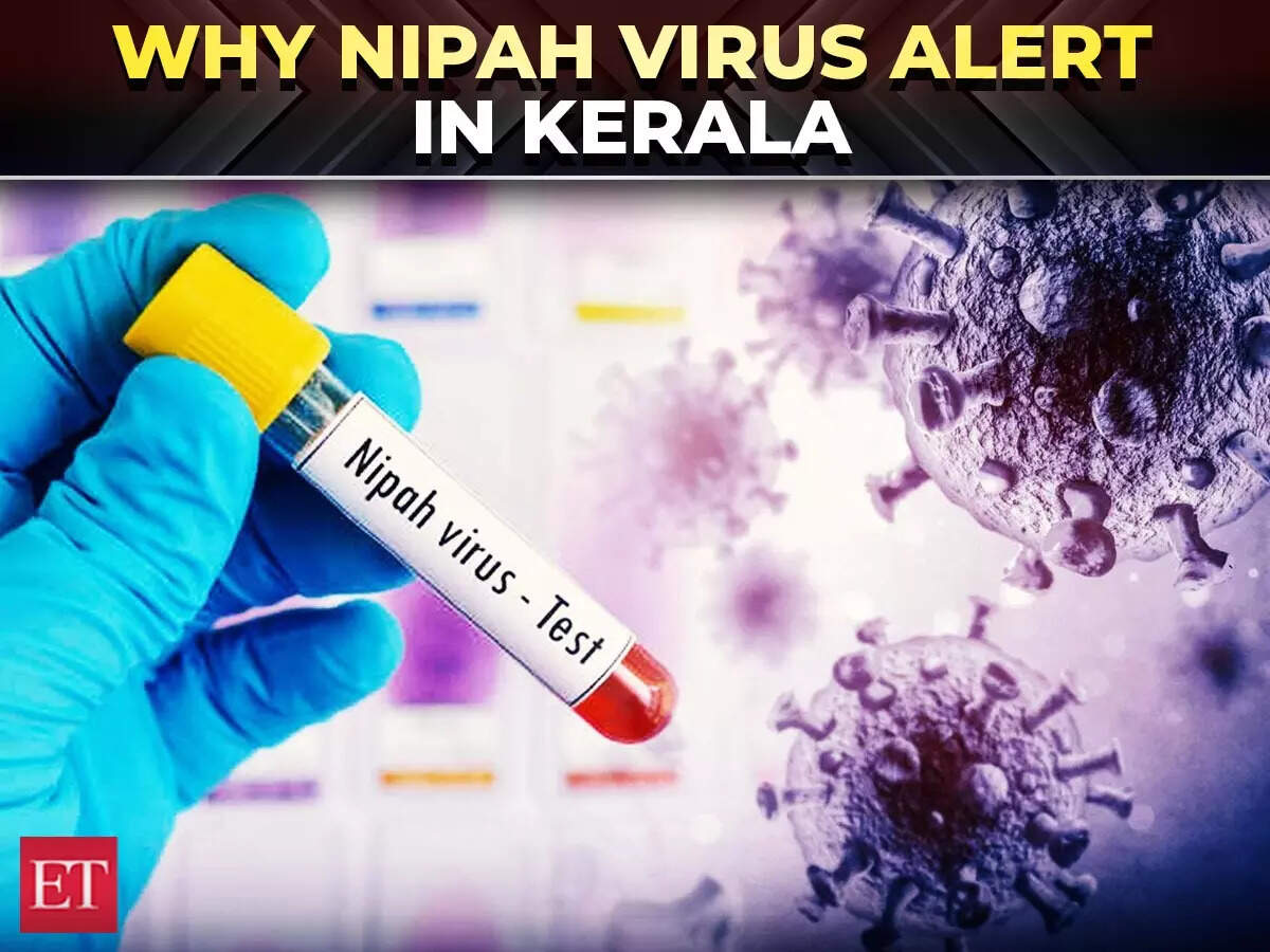 Nipah virus alert: 18-year-old girl dies, over 345 people under watch ...