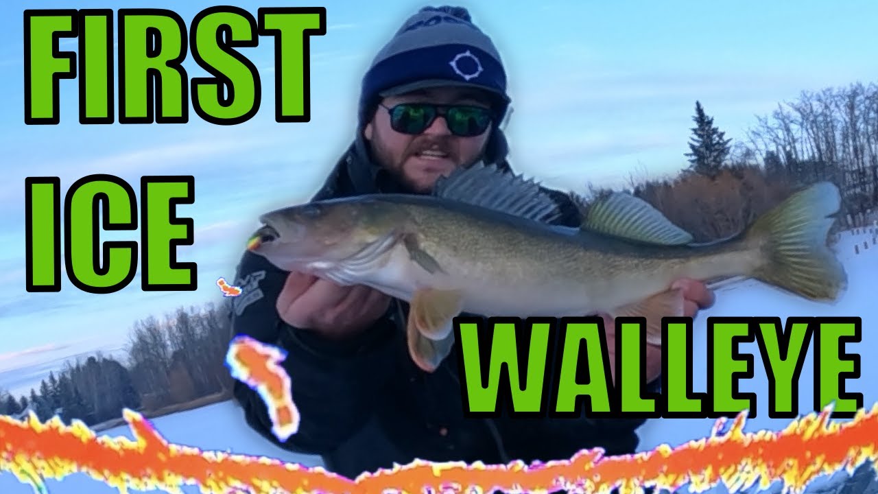 Early Ice Fishing for Walleye
