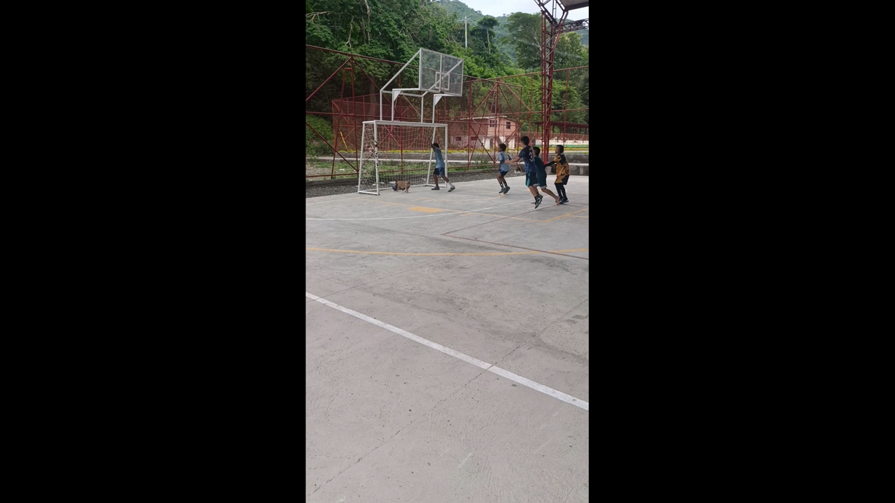 Dog scores goal during kids' football game in Dabeiba, Colombia