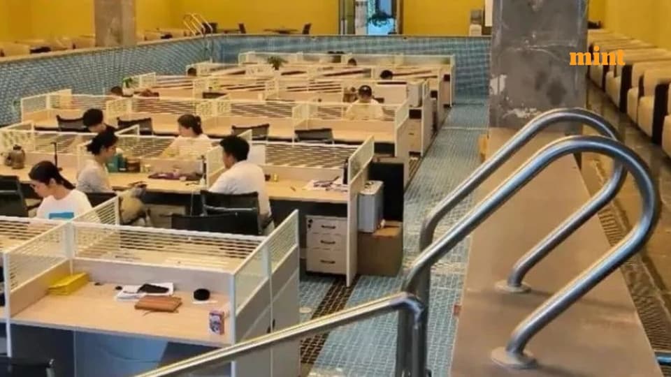 Company turns swimming pool into office, employees reach desks using ...