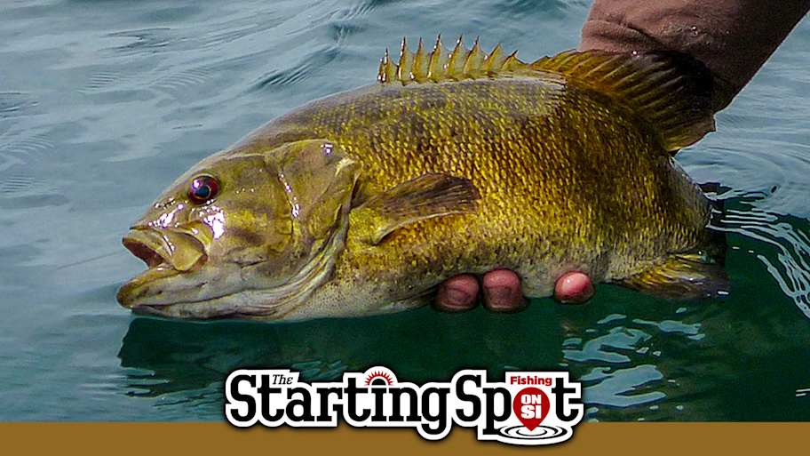 The Starting Spot: New Secret Smallmouth Bait, 5 Tips to Better Bass ...