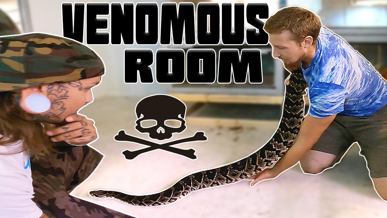 Tyler Nolan’s Snake Room Tour – Featuring a King Cobra Feast!