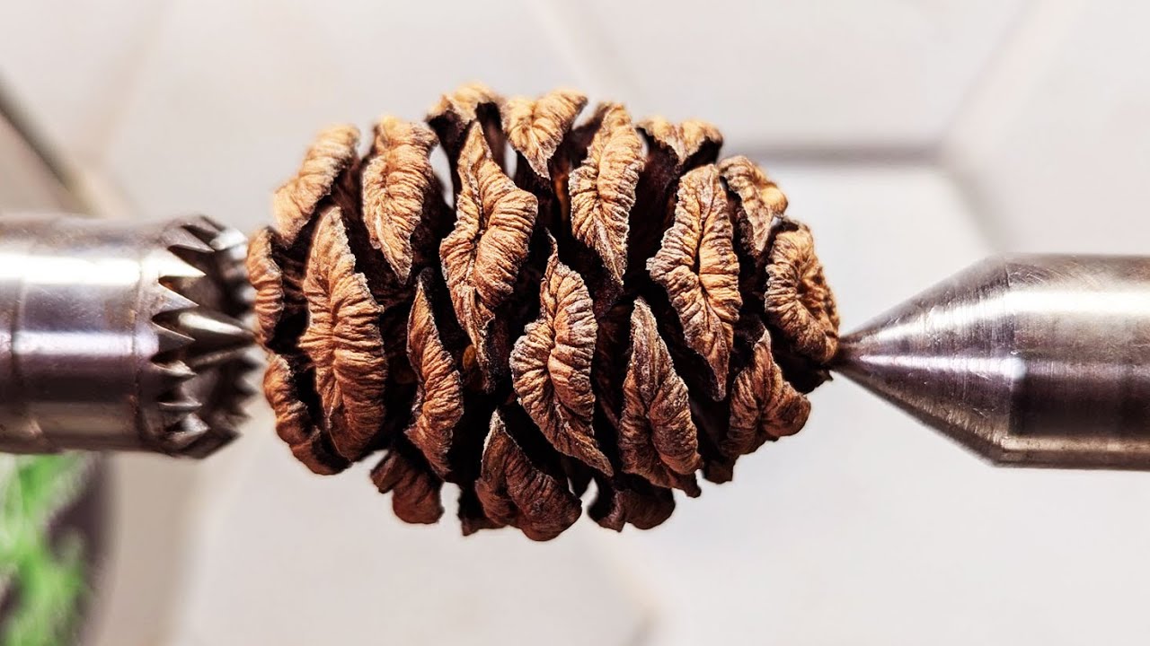 Giant Redwood CONES of DOOM! | Woodturning Project