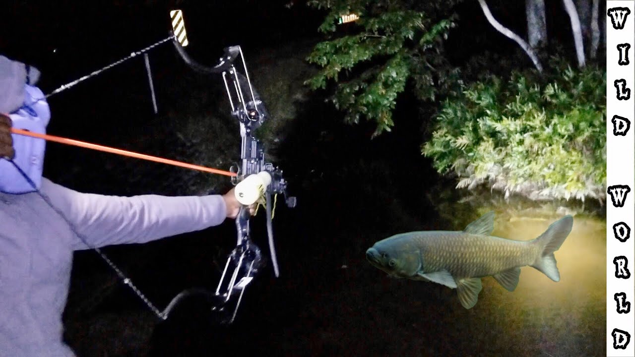 Night bowfishing for invasive species