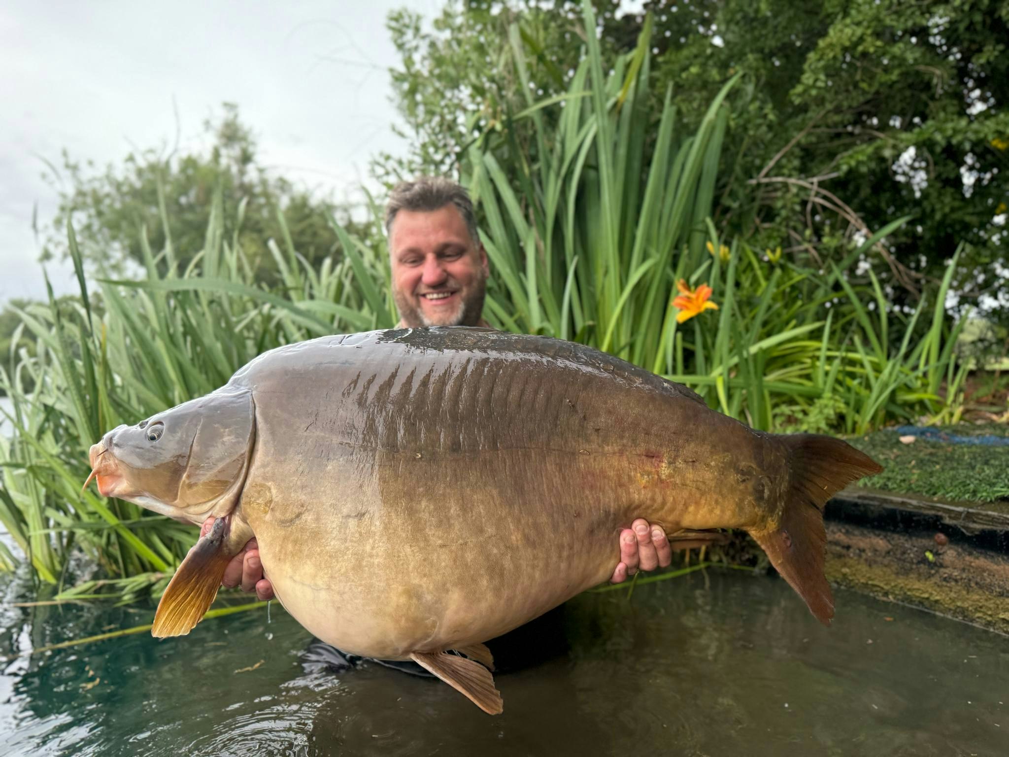 Angler banks one of the UK’s biggest carp