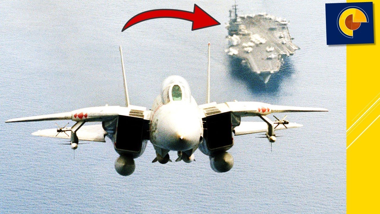 F-14 Tomcat: The Secret Behind Its Legendary Wing
