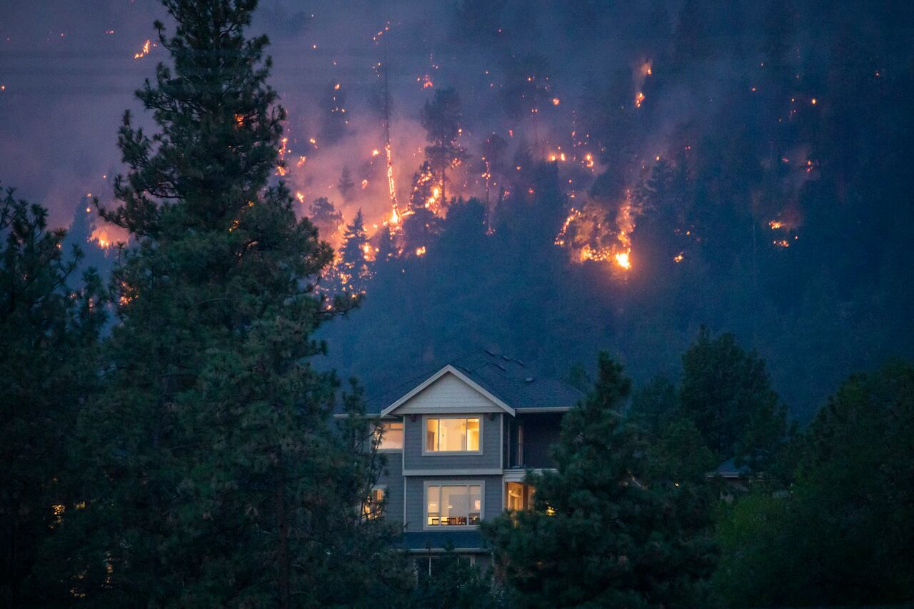 Human-caused wildfires are down over the past 'several decades': B.C ...