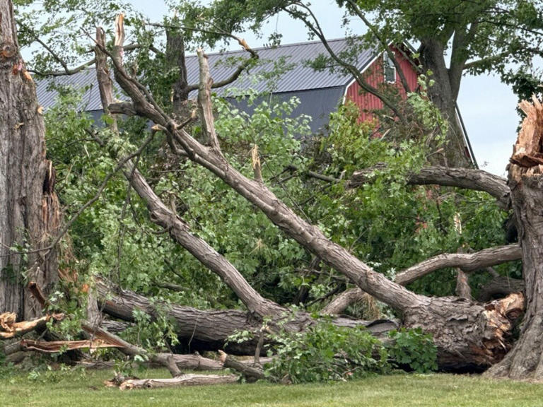 WATCH: Cleanup underway after possible tornado in Phelps & Romulus