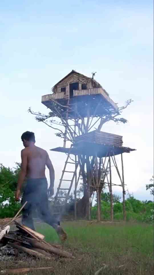 Living the Dream: Epic Treehouse Life & Night Magic!