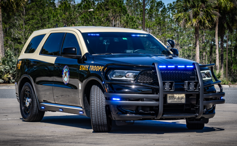 Man, 87, fatally struck while trying to save turtle on Florida highway