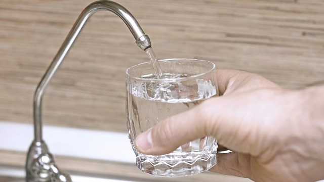 PhD student makes stunning discovery after studying bacteria that ...