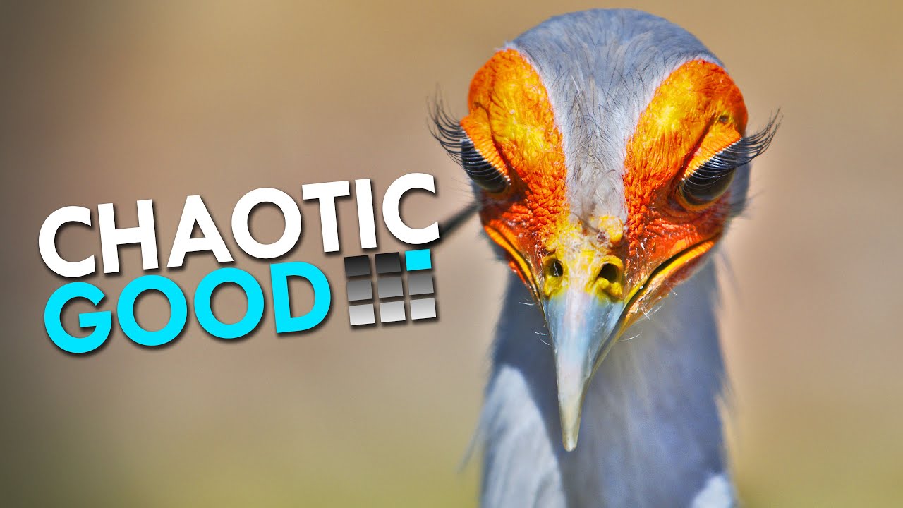 The Alignment Chart for Birds of Prey