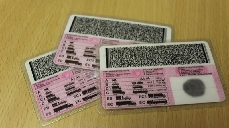 Gauteng rolls out smart centres to slash licence renewal times