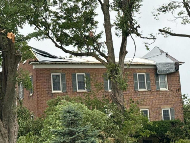 WATCH: Cleanup underway after possible tornado in Phelps & Romulus