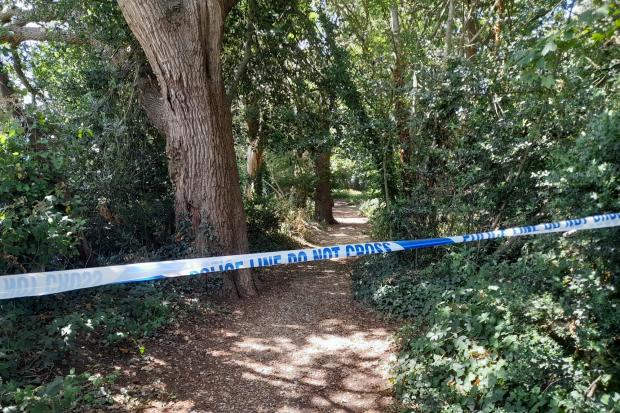 Police statement in full after man's body found in woods
