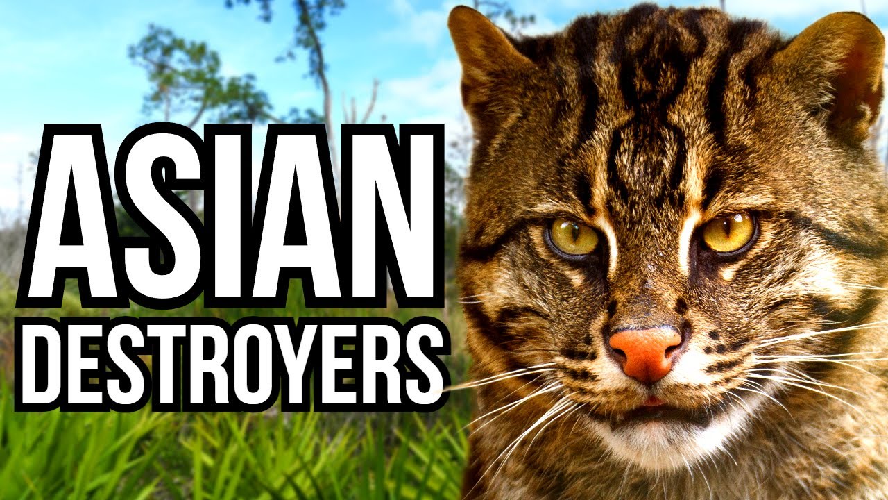 These Asian Predators Could Take Over U.S. Ecosystems