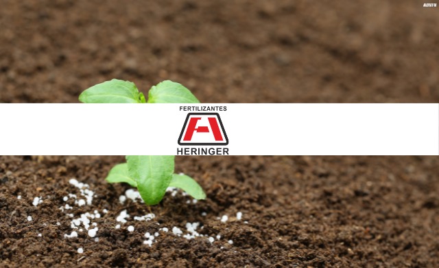 Fertilizantes Heringer: Gustavo Horbach renuncia aos cargos de CEO e ...