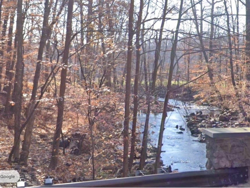 Mendham Partners With Conservation Org. To Restore Local Brook