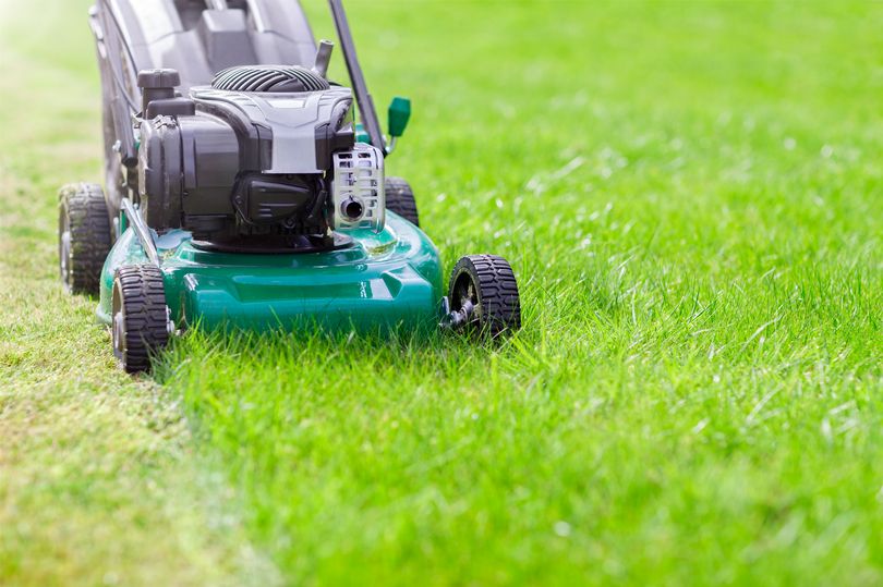 UK households told 'do not' cut your grass this weekend