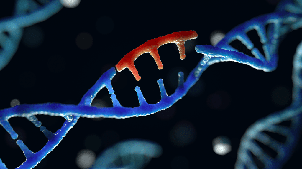 New genetic discovery reveals hidden cause of liver disease