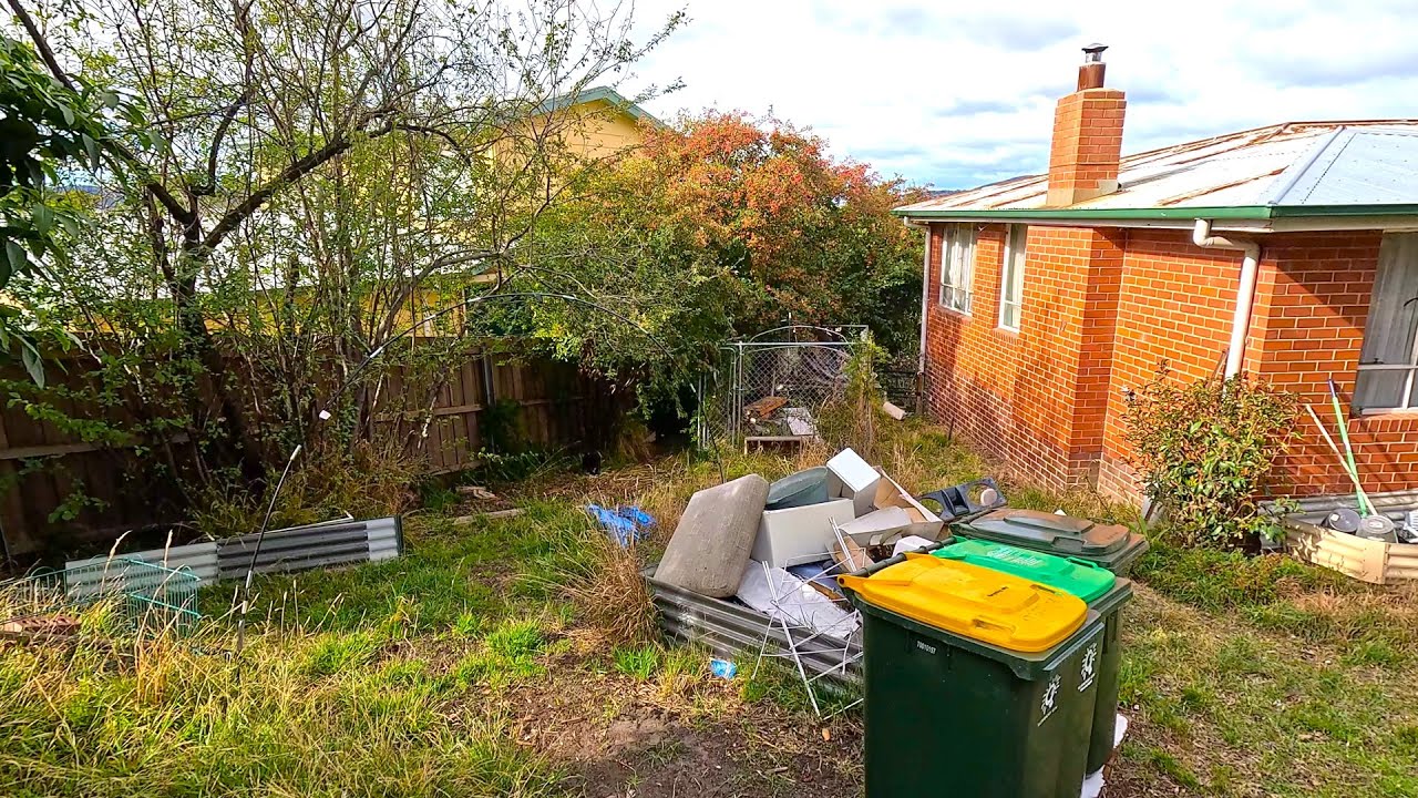 Watch me transform this messy backyard