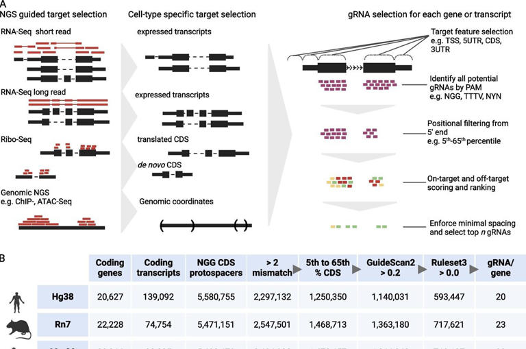 New software promises to make precision genome editing with CRISPR ...
