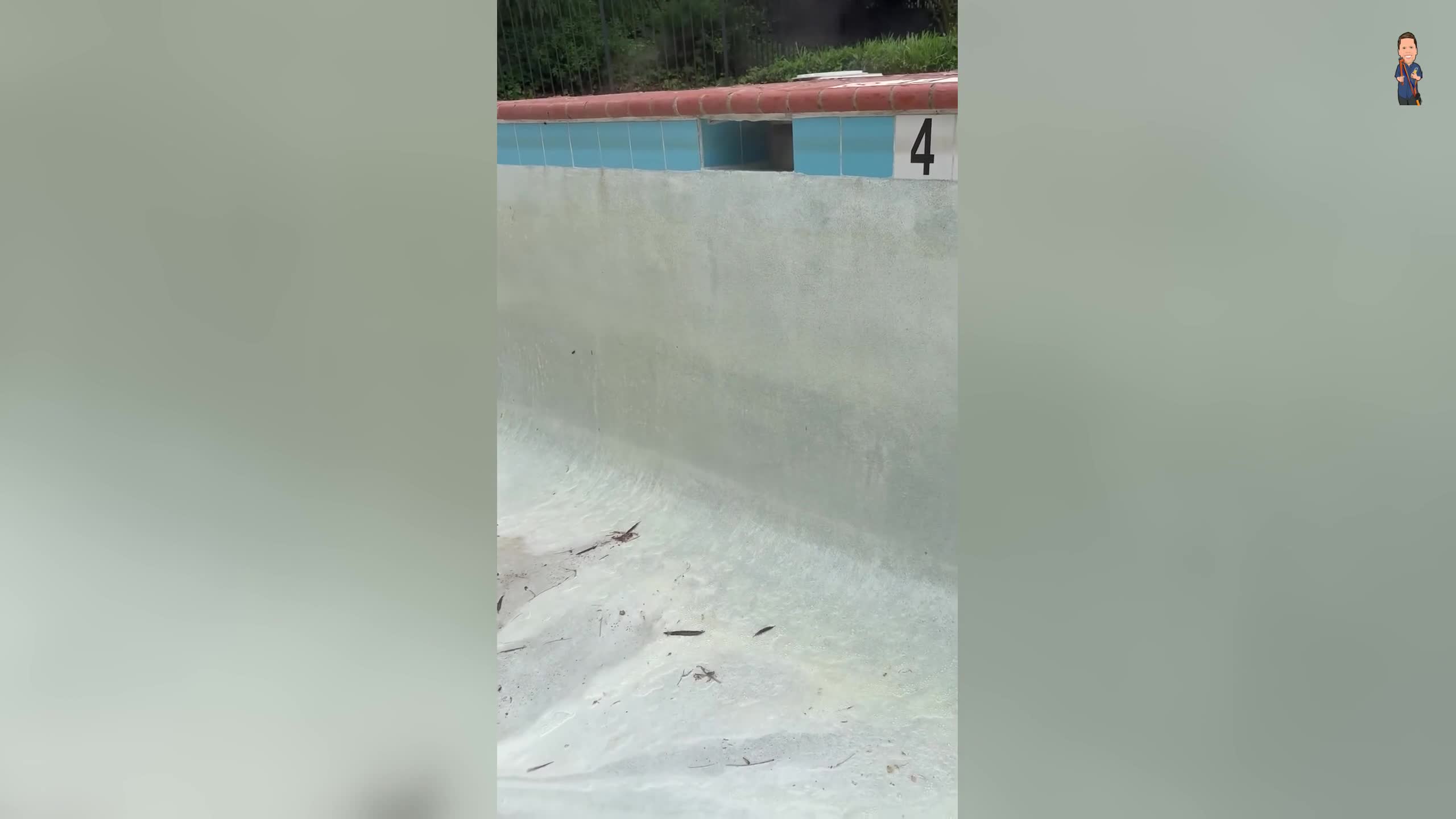 Easy Pool Cleaning: No Pressure Washer Needed!