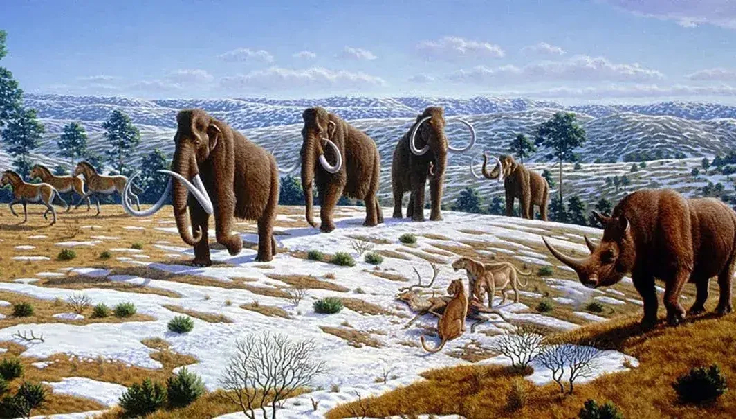 What drove North America’s large mammals to extinction after the last ...