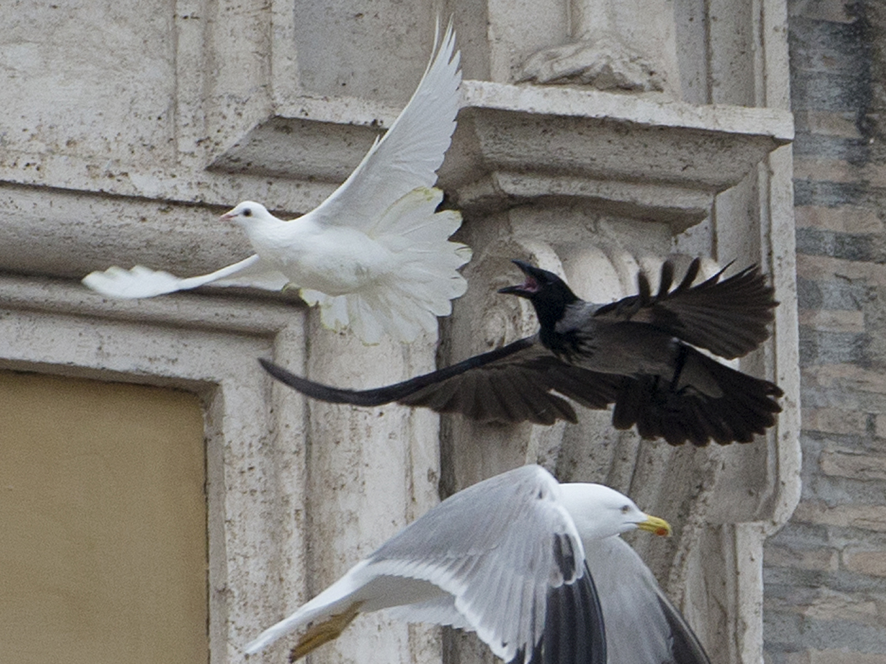 18 Wild Historical Events That Are Hard to Believe