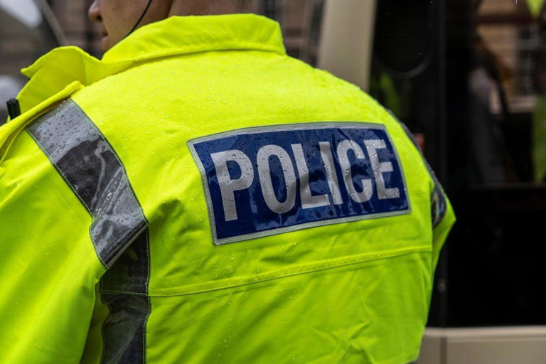 Two 'bulldog-type' dogs seized after robbery victim and police officer ...
