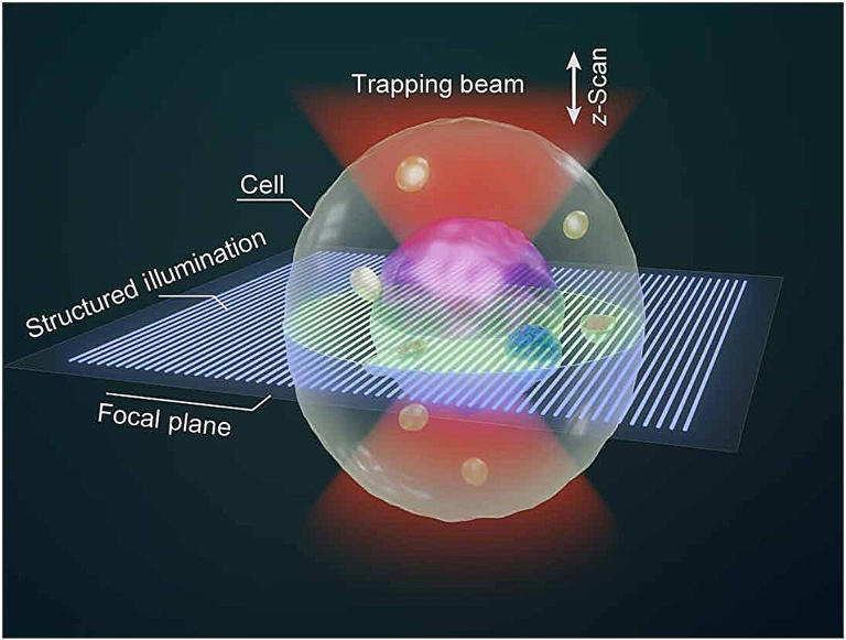 Optical tweezer sectioning microscopy enables 3D imaging of floating ...