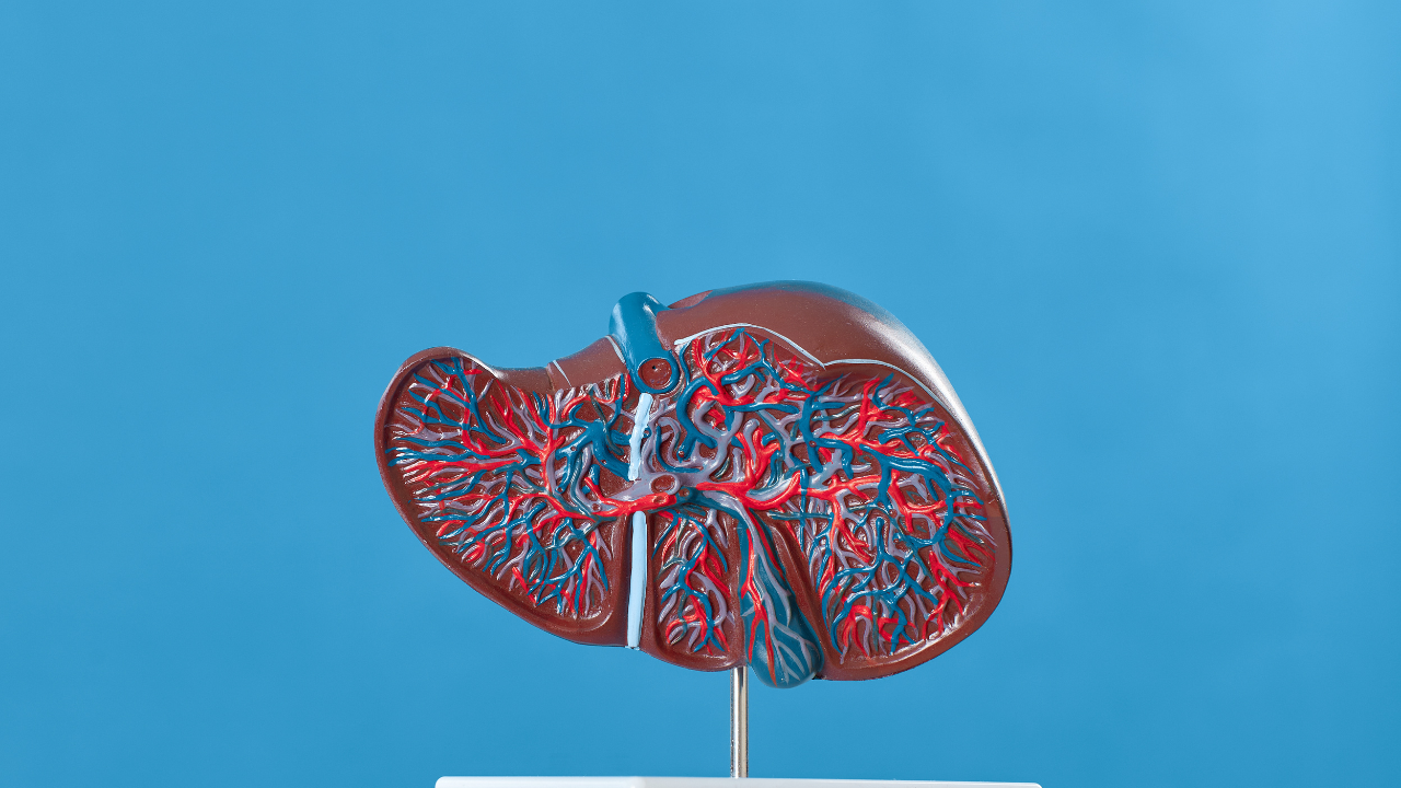 What is the difference between stages of fatty liver: How to reverse them