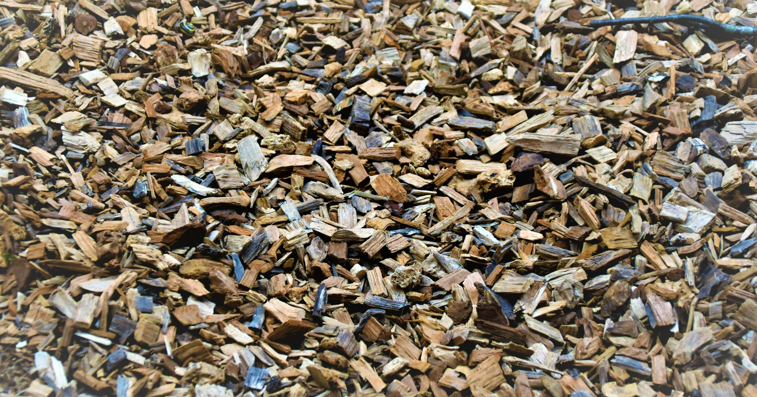 10 Benefits To Using Wood Chips For Mulch
