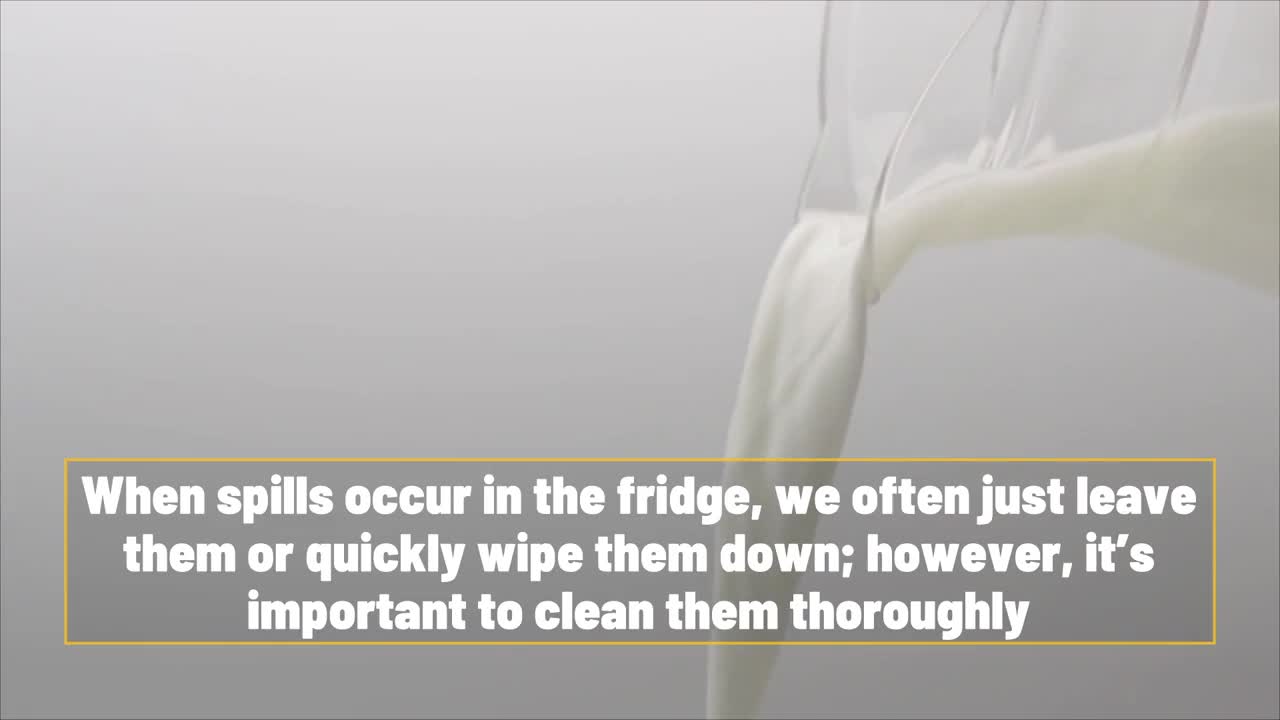 5 Reasons Why Your Refrigerator Smells