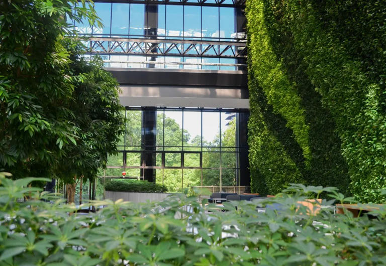 Work better, live greener: A smart design solution