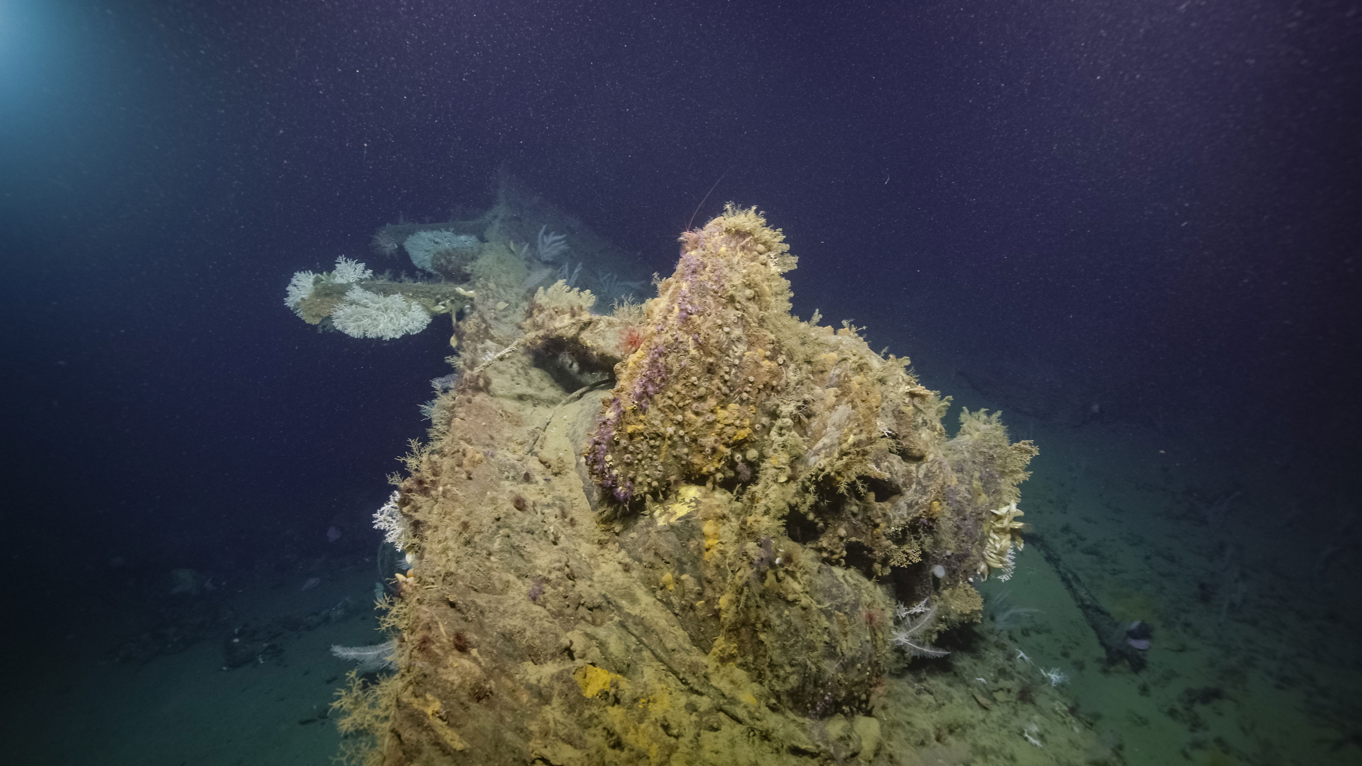 Undersea expedition discovers bow of USS New Orleans, lost in WW2