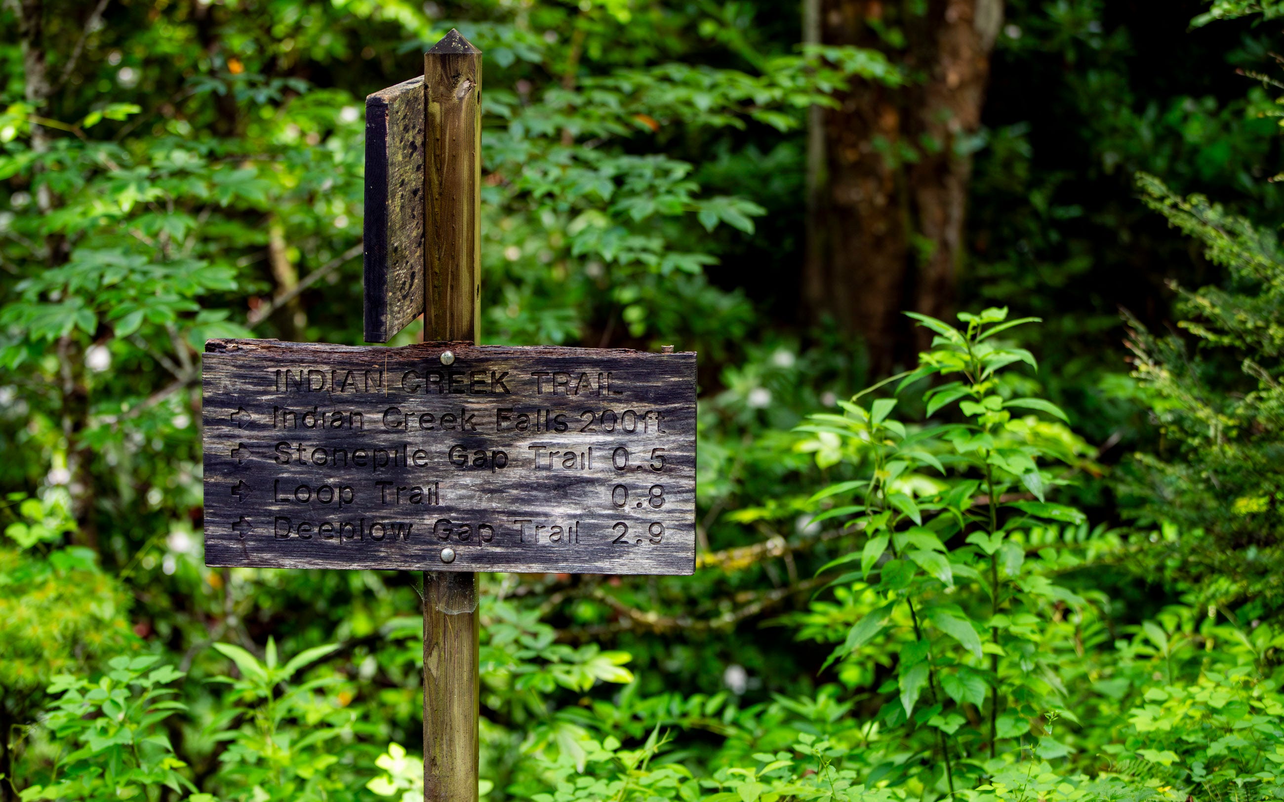 Great Smoky Mountains National Park assault: What we know