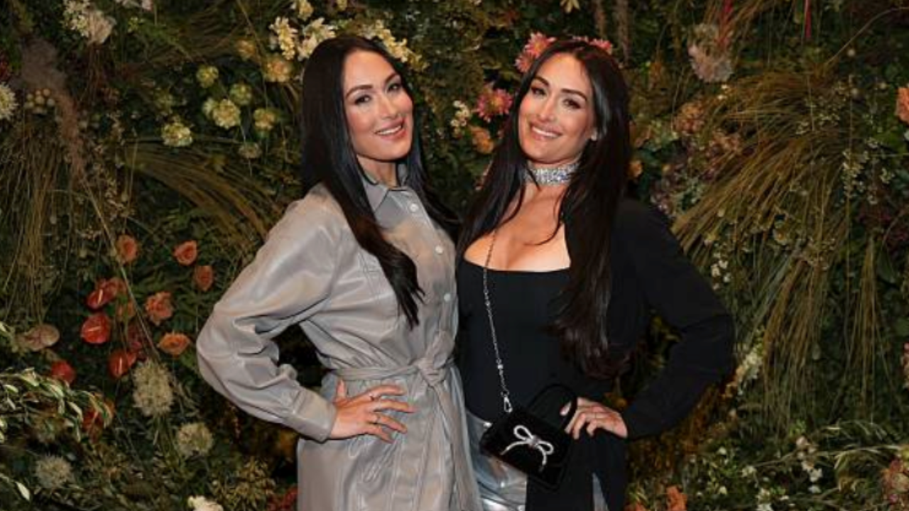 Nikki Bella Hints at WWE Return, But Only If Sister Brie Joins Her in ...