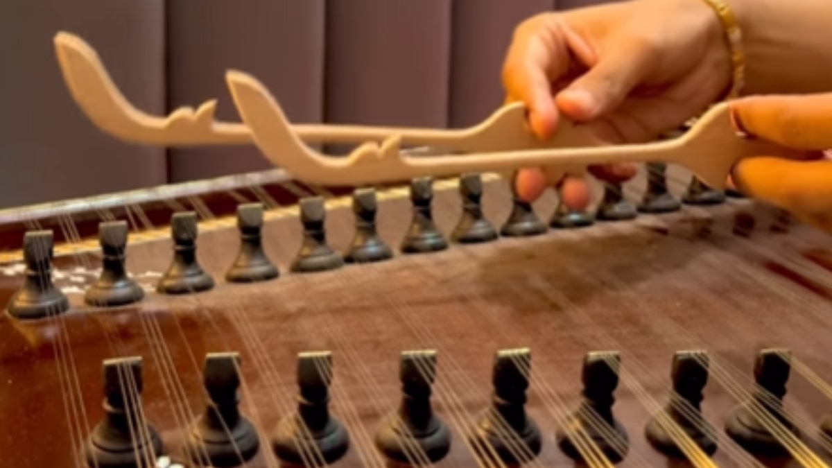 Musician's Santoor Rendition of Mahabharat Theme Song Goes Viral — WATCH