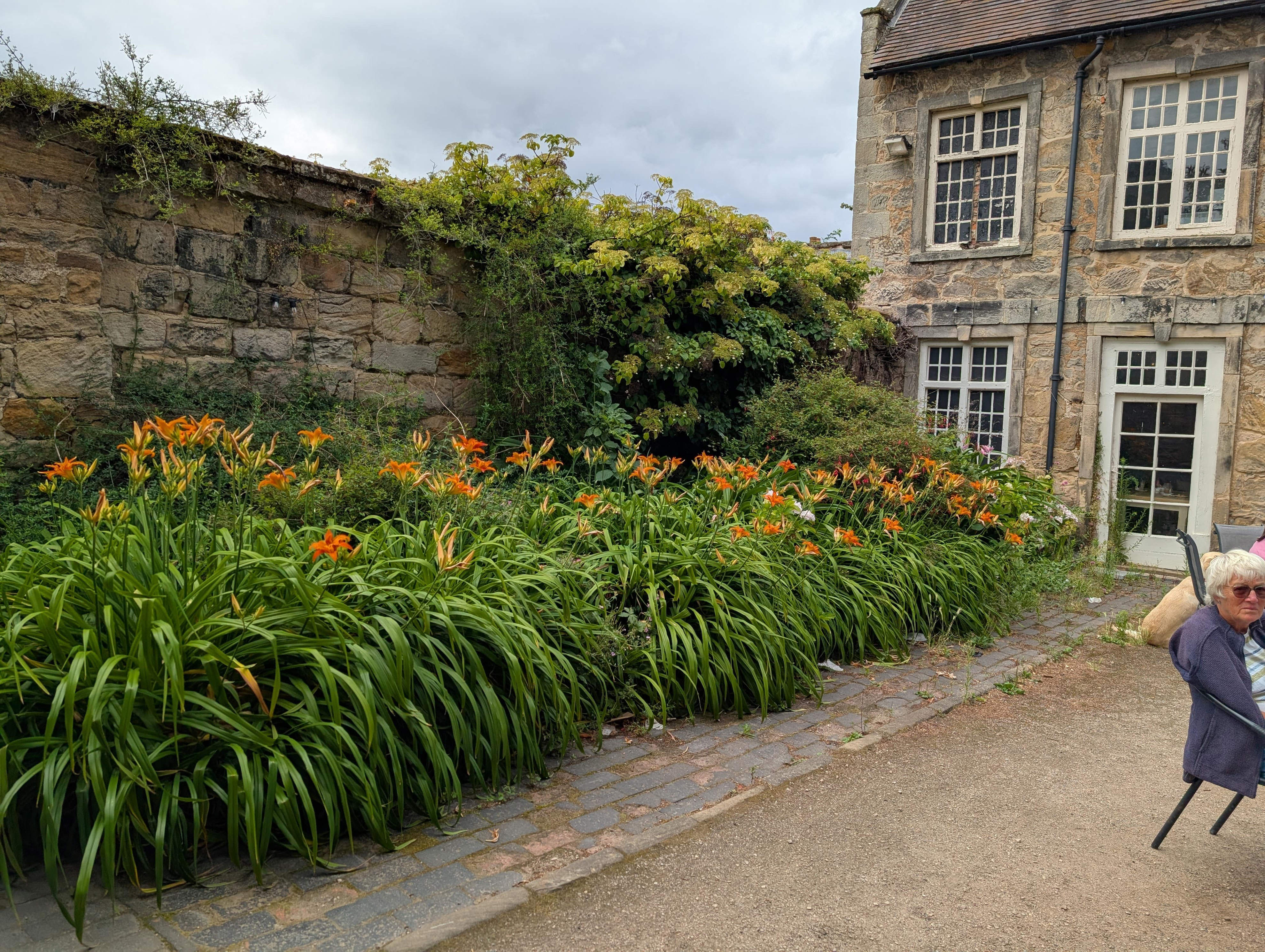 Traditional tea room tucked away in delightful Derbyshire courtyard is ...