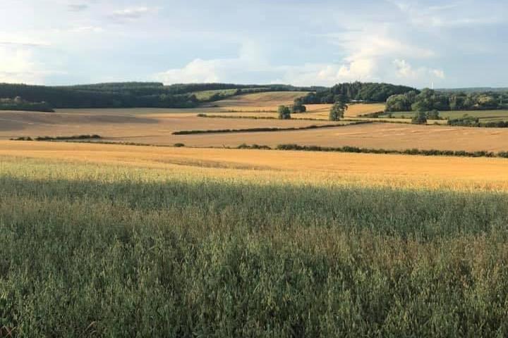 3,000 homes: Hucknall folk urged to fight to save the green belt as ...