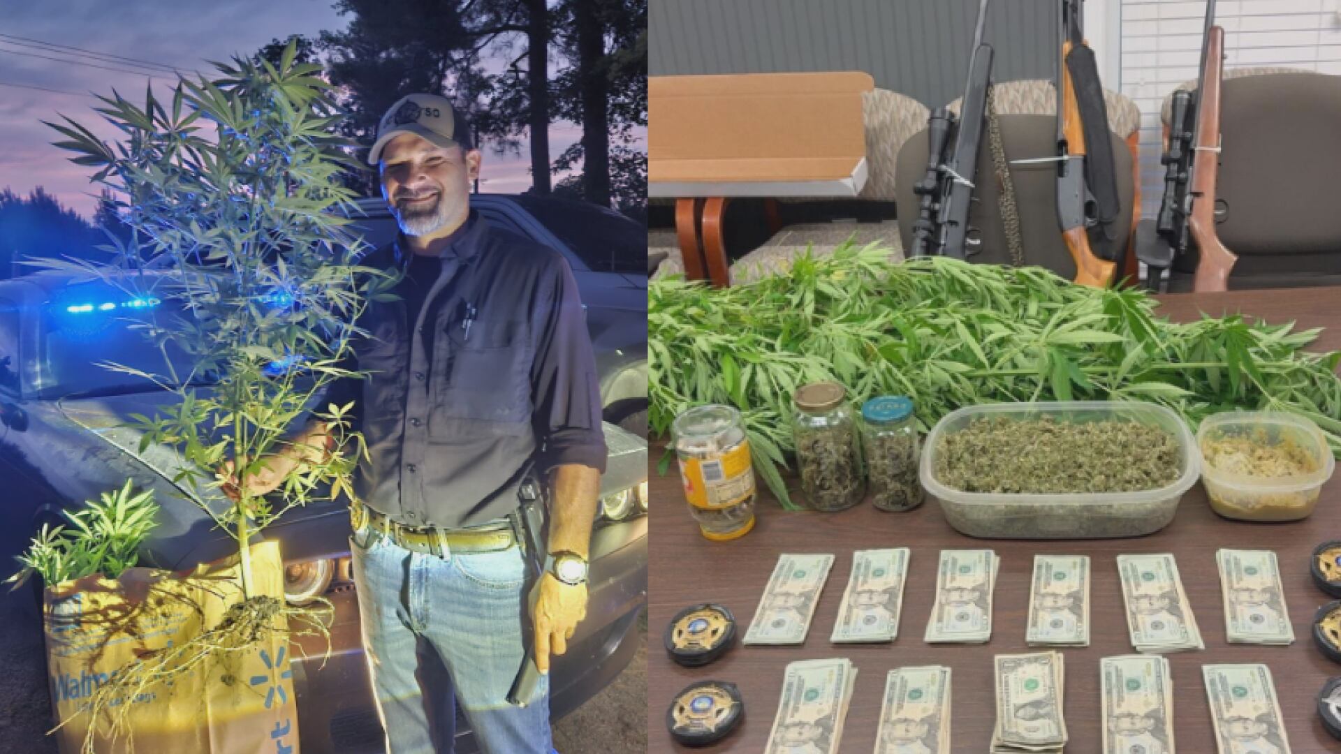 Deputies find several marijuana plants in Jones County while searching ...