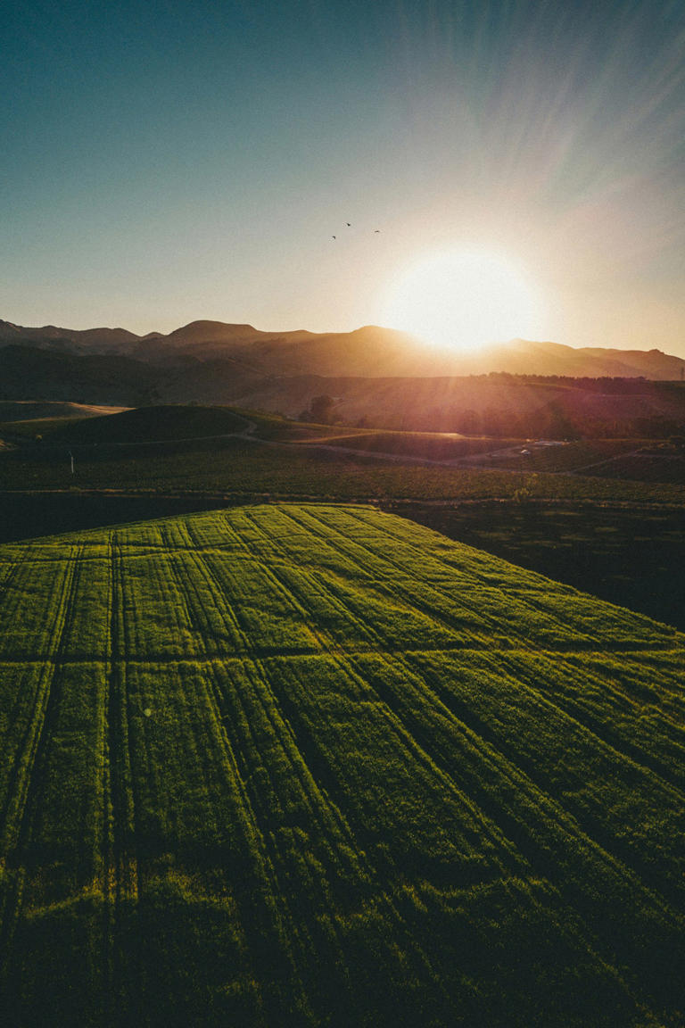 Quantum Fields Forever: Can Sound, Science & Soil Save Farming?
