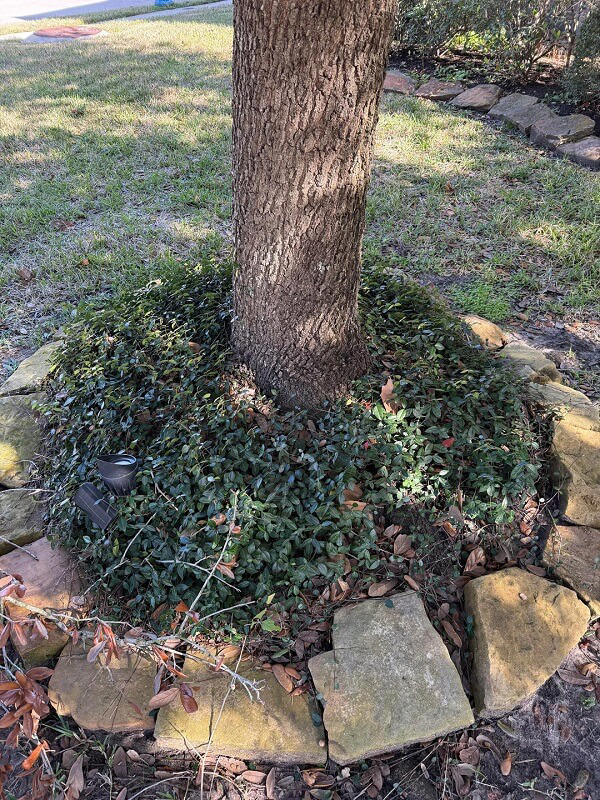 Homeowner shares before-and-after photos after fixing dangerous ...