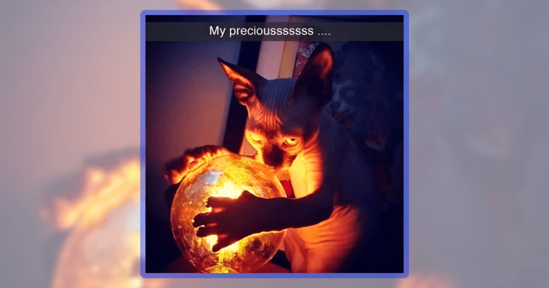 30 Times Silly Animals Crashed Our Favorite Fandoms, and Made Them ...