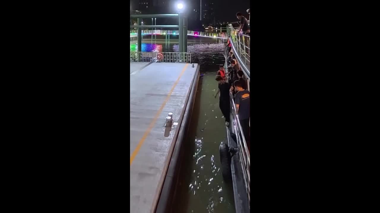 Ferry crew member plunges into water moments before sailing out